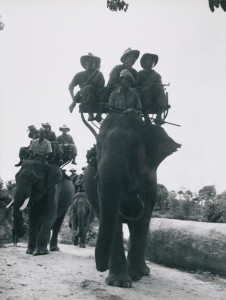 Animals and war, episode 8: The Elephant - The News blog